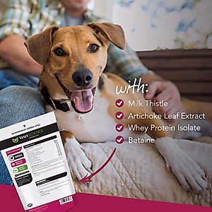 VETRISCIENCE Vetri Liver Canine Milk Thistle Supplement for Dogs – Advanced Liver Supplement for Dogs with Antioxidants, Liver Detox, for Sensitive Stomachs