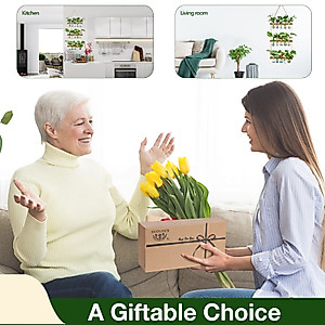 XXXFLOWER Wall Hanging Propagation Station with Wooden Stand 5 Bulb Vase 3 Tiered Planters Wall Terrarium for Home Office Plant Hanger Flower Vases Wall Decor