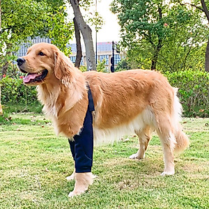 HDKUW Dog Elbow Protector, Dog Leg Recovery Sleeve for Prevent Licking Wound, Joint Sleeves with Mesh Pad for Medium Large Dogs Thickened Black 4XL