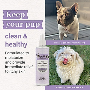 Frankie & Paisley Itch Relief Hot Spot Treatment for Dogs and Puppies | Soothing Anti-Itch Spray for Sensitive Skin – 8 fl. Oz