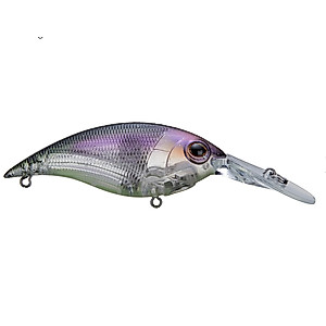 Berkley Money Badger Fishing Lure, Firetail Green Craw, 1/3 oz, 2.5in | 6.25cm, Hybrid Baitfish-Crayfish Design, Patented FlashDisc Technology, Equipped with Sharp Fusion19 Hooks