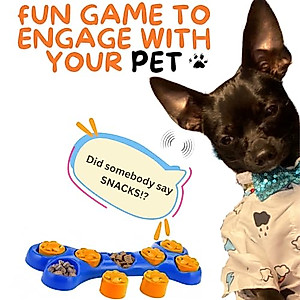 GREENBRIER KENNEL CLUB Doggie Treat Puzzle, Small, Blue base