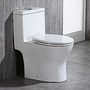 WOODBRIDGEE Modern Elongated One piece Toilet Dual flush 1.0/1.6 GPF,with Soft Closing Seat,1000 Gram MaP Flushing Score,white,T-0032