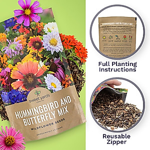 Bulk Wildflower Seeds Butterfly and Humming Bird Mix - 1/4 Pound Bag - Over 30,000 Open Pollinated Annual and Perennial Seeds