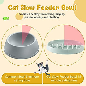 2 Pack Cat Slow Feeder Bowl Slow Feed Cat Dish Fishbone Cat Slow Feeder Small Interactive Puzzle Dog Feeder Dish Anti Gulping Pet Bowl for Cat and Dog Slow Eating to Against Bloat (White, Green)