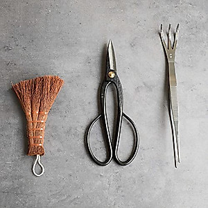 Wazakura Japanese Bonsai Garden 3PCS Tool Starter Kit, Made in Japan, Ashinaga Bonsai Scissors, Stainless Tweezers with Rake, Chinese Broom. Beginner Set with Shears, Tweezers and Soil Brush