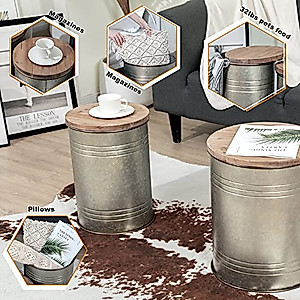 BRIAN & DANY 2 Pack Farmhouse Accent Side Table, Rustic Storage Ottoman Seat Stool with Round Wood Lid, Galvanized Metal Storage Bin for Living Room Furniture, Distressed Grey