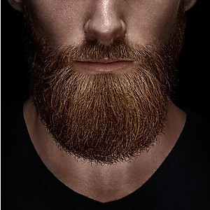 MATTR Beard/Brow Fix - Cosmetic Solutions for Men - Hair Filler and Growth Promoting Dye for Patchy Beards, Grey Hair Coverage, Hairlines & Eyebrows - Vegan Makeup - Travel-Size Jar - 15g (Brown)