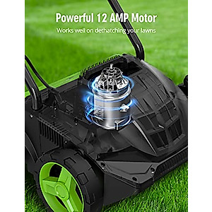 SWIPESMITH 13-Inch 12 Amp Electric Dethatcher Scarifier, 2-in-1 Lawn Dethatcher with Two Safety Switches, 4-Position Depth Adjustment, Scarifier with Foldable Handle, for Lawn, Garden, Yard