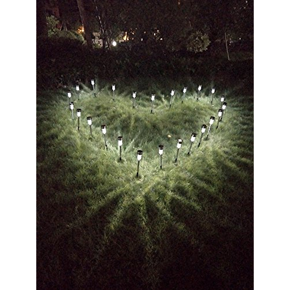 Solar Outdoor Lights 10 Pack, Solar Garden Lights Solar Powered Waterproof Landscape Path Lights Stainless Steel LED Outdoor Lights Solar for Walkway Yard Backyard Lawn Patio Driveway Decorative