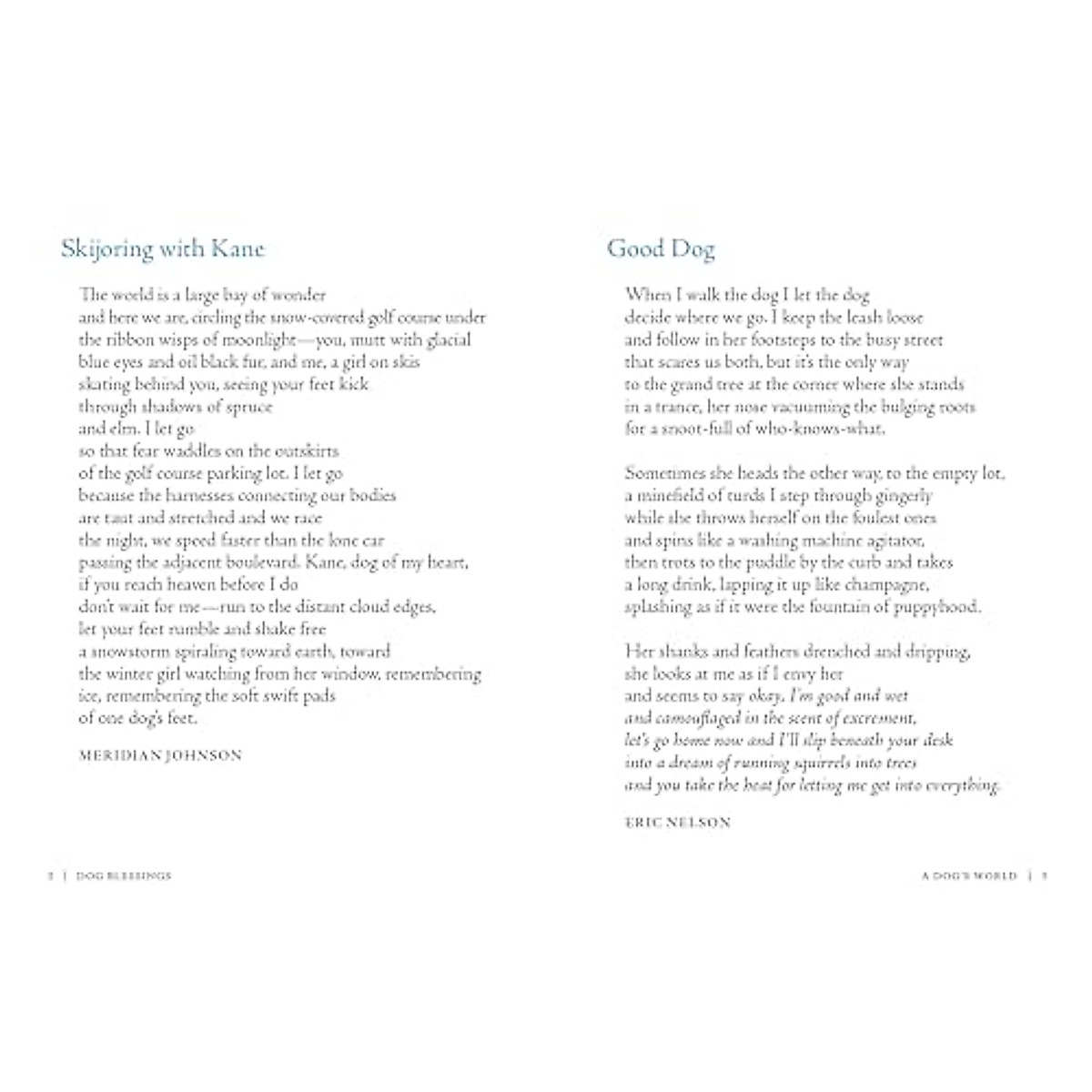 Dog Blessings: Poems, Prose, and Prayers Celebrating Our Relationship with Dogs