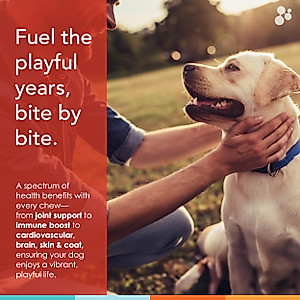 Chew Vitamins for Dogs (90 ct), Glucosamine for Joint Support with Antioxidants, Omega-3 & Vitamins for Skin, Liver and Heart Health - Spectrin