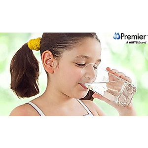Watts Premier OFPRFC OneFlow Plus Whole House Water Filter System & Water Softener, Carbon Block Water Filter Replacement, 1 Pack