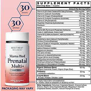 Best Nest Wellness Mama Bird Prenatal Vitamin: Vegan Prenatal Vitamins for Women w/Methylfolate (Folic Acid) w/Organic Herbal Blend, Prenatal Vitamins for Women B12, Choline, Once Daily, 30 Count