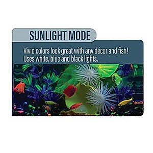 GloFish LED Light 5 Gallons, Blue and White LED Lights, for Aquariums Up to 5 Gallons, Model:29028