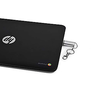 RAOYI 64G USB Flash Drive USB 2.0 Metal Memory Stick Pen Drive Thumb Drive Zip Drive with Key Chain (Silver)