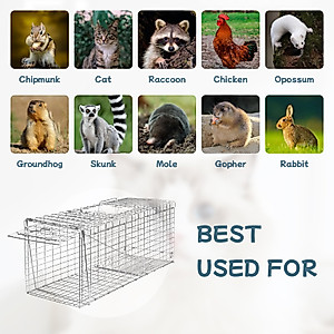 Animal Trap 32"x10"x12" Cage Trap, Heavy Duty Folding Raccoon Traps, Humane Cat Trap for Stray Cats,Rabbits,Squirrels,Outdoor Small Animal Trap,Humane Catch & Release