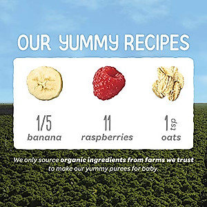 Happy Baby Organics Clearly Crafted Stage 2 Baby Food Bananas Raspberries & Oats, 4 Ounce Pouch Resealable Baby Food Pouches, Fruit & Veggie Puree, Organic Non-GMO Gluten Free Kosher (Pack of 8)