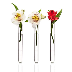 20x150mm 35ml Glass Test Tubes,20 Pcs Glass Test Tube with Cork Stoppers for Bath Salts,Candy Storage,Plants,Science Themed Party and Home Decoration