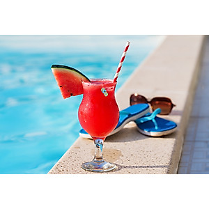 Beach Nautical Wine Glass Charms or Magnetic Markers for Making Your Drink Unique – Set of 12 Summer Glass Identifiers