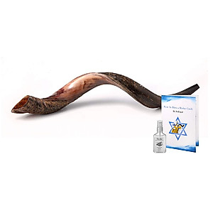 Yaliland Shofar Horn Musical Instrument - Kosher Kudu Ram Horns from Israel - Includes Bag, Book Guide, Anti-Odor Spray, 3 Brushes - Use for Religious Ceremonies - 24"-26", Half Polished-Half Natural