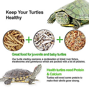 Amzey 2 Pack Aquatic Turtle Medley Treat Food, 3.7 Ounce Total - 100% Natural Aquarium Fish Food, High Protein Turtle Medley Food for Turtle, Aquatic Fishes, Newts and Frogs