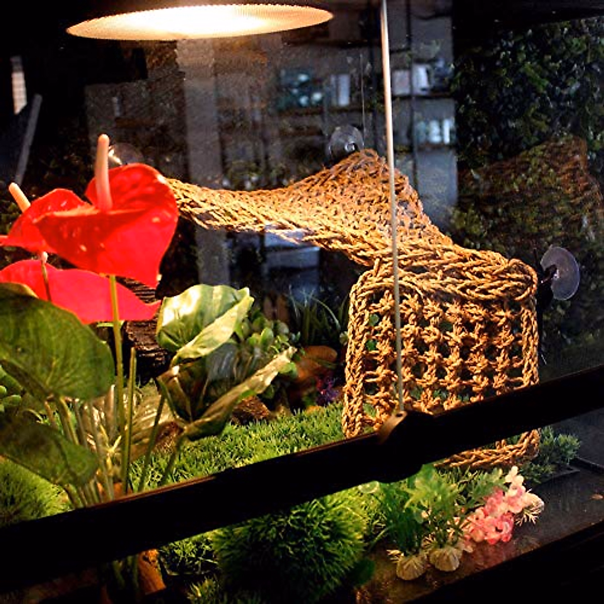 PIVBY Bearded Dragon Hammock Reptile Lounger Hermit Crab Climbing Toys Tank Accessories for Habitats Pack of 2