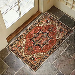 Collive Indoor Door Mat Retro Floor Mat, Non Slip Washable Doormat Quickly Absorb Welcome Mats Low Pile Door Mats Inside Entryway Carpet Front Door Rug for Entrance - 24" x 36"