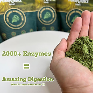 Pure Choice Whey Organic Greens Superfood Powder, USA Grown - Kale, Alfalfa Grass, Wheatgrass, Barley Grass, Astragalus, Spirulina, Oat Grass & Chlorella, USA Grown (10.6 oz, 1 Month Supply)