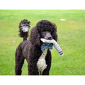 Pet Qwerks Plush Interactive Dog Toys - Newspaper Squeaker Toy - 10 in,Large breeds