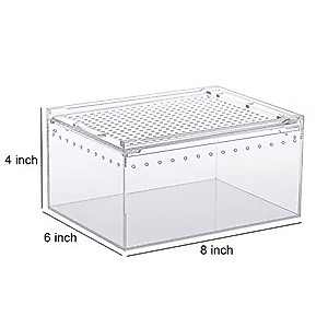 NANEEZOO Magnetic Acrylic Reptile Case - 8"x6"x4" Flat Long Enclosure Transparent Reptile Breeding Box Terrarium Cage - for Tarantula Scorpion Sling Isopods Invertebrates & Insect Mantis