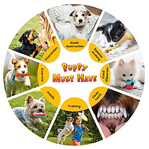 KIPRITII Luxury Puppy Chew Toys - 20 Pack With Rope, Squeaky, and Bite Toys for Teething Small Dogs