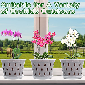 Kecio 4 Pack Clear Plastic Orchid Pots with Holes and Saucers, 7 Inch, Suitable for Indoor and Outdoor Use