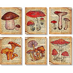 Vintage Mushroom Botanical Wall Art Prints Posters for Room Aesthetic,Kitchen,Office,Classroom,Bedroom,Dining Room Decor,Rustic Vintage Mushroom Prints,Wall Art for Cafe,Restaurant,Boho Farmhouse Style,Unique Gift,Set of 6(8”X10”inch,Unframed).