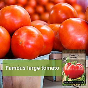 Sow Right Seeds - Beefsteak Tomato Seed for Planting - Non-GMO Heirloom Packet with Instructions to Plant a Home Vegetable Garden - Great Gardening Gift (1)