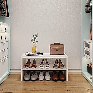 WAHEY Shoes Rack, Stackable 2 Shelf Wood Closet Organizer Unit, FSSR001