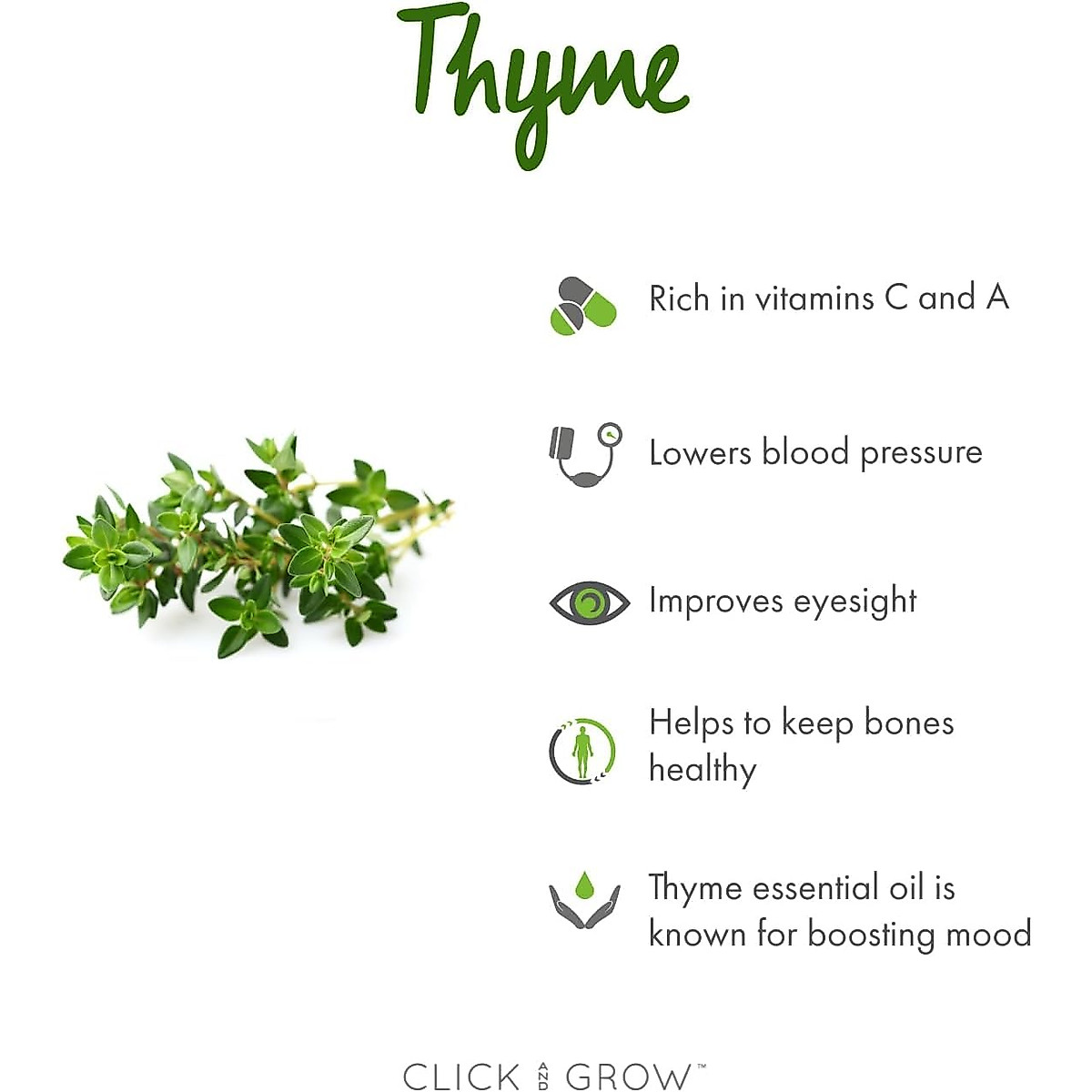 Click and Grow Smart Garden Thyme Plant Pods, 3-Pack