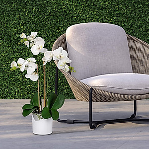 Serene Spaces Living 3 White Realistic Phalaenopsis Orchids in Pot, Artificial Potted Flowers - Beautiful Entryway Vase, Foyer Table Décor, Measures 26" Tall & 5" Diameter