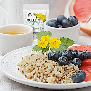 Mullein Leaf Tea Bags - Lungs Cleanse and Respiratory Support, Mullein Herbal Teas, Caffeine Free, 40 Tea Bags