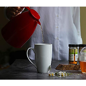 Amuse- Professional Barista Large Cozy Tall Mug for Coffee, Tea or Latte - Set of 6-16 oz