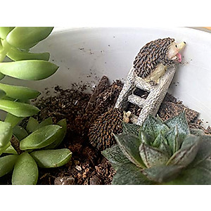 MUAMAX Miniatures Hedgehog Figurines Fairy Garden Hedgehog Accessories Suppliers Mini Hedgehog Animals Micro Landscape Bonsai Craft Decor Miniature Garden Ornaments