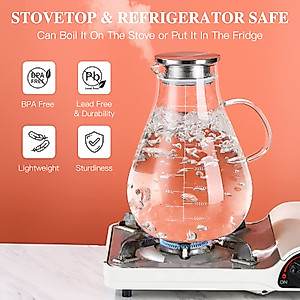 Glass Pitcher with Lid, 112.6OZ Upgrade Glass Water Pitcher with Precise Scale Line, 18/8 Stainless Steel Iced Tea Pitcher, HOUSALE Easy to Clean Heat Resistant Borosilicate Glass for Milk, Cold & Hot