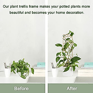 WellSign Plant Trellis for Climbing Plants Indoor Pot, 16.3 inch Small Wooden Trellis for Potted Plants with Moisture-Proof Layer for Vines Ivy Hoya Houseplants, Moon and Geometric Shape Design 2 Pack
