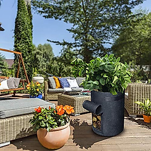 Gardzen 6 Pack BPA-Free 10 Gallon Vegetable Grow Bags with Access Flap and Handles, Suitable for Planting Potato, Taro, Beets, Carrots, Onions, Peanut