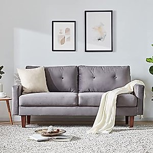 Dreamsir 69" Modern Cream Love Seats Sofa Couch Furniture, Velvet Fabric Mid Century Couch for Living Room, Bedroom, Apartment/Easy, Tool-Free Assembly (Sofa, Gray)