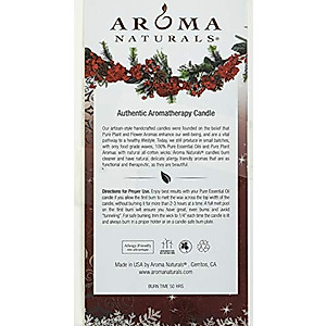 Aroma Naturals Holiday Orange, Clove and Cinnamon Essential Oil Scented Pillar Candle, Warm Spice, 2.5 inch x 4 inch