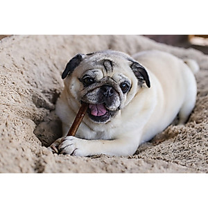 Top Dog Chews - 6" Bully Sticks - All Natural from Free Ranging Beef - 25 Pack