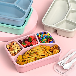 XGXN Bento Box Adult Lunch Box (4 Pack), 5-Compartment Meal Prep Container for Kids, Reusable Food Storage Containers with Transparent Lids, No BPA, Microwaveable (Wheat (Green/Blue/Pink/Beige))