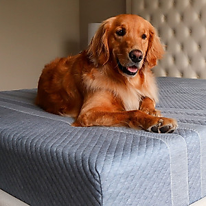 Leesa Studio 10" Mattress, Twin XL Size, Cooling Memory Foam / CertiPUR-US Certified / 100-Night Trial, Heather-blue