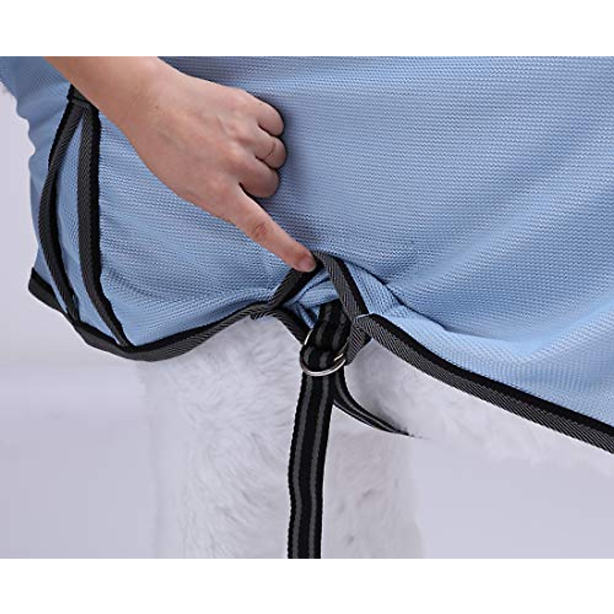 LEAFOREST Sheep Cover, Sheep Blankets for Show Lambs, Sheep Supplies Sheep Covers for Lambs (Blue, M)